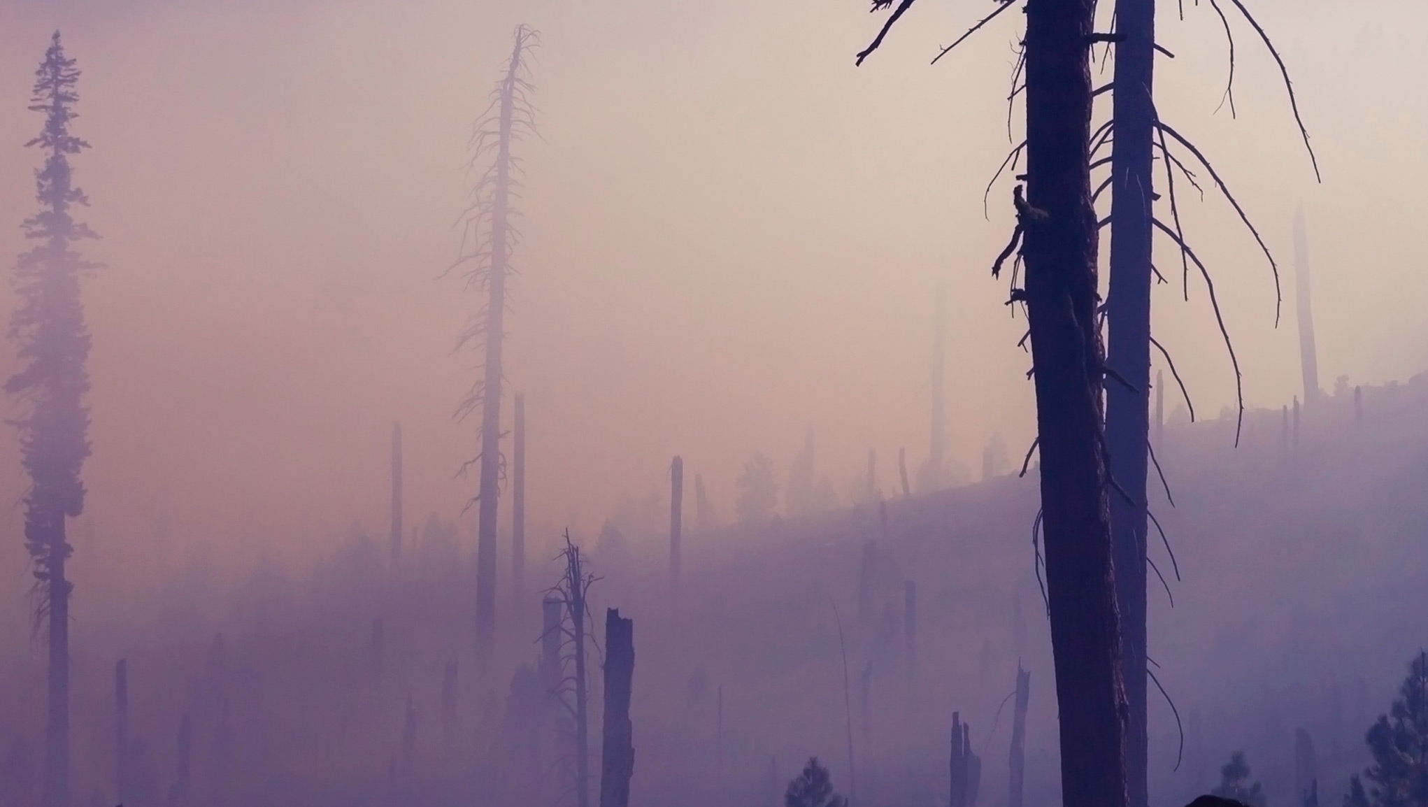 Lars Karlsson interview | If